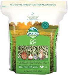 The 5 Best Hay for Rabbits In 2020 - We're All About Pets