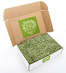 The 5 Best Hay for Rabbits In 2020 - We're All About Pets