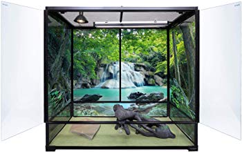 The 10 Best Cages for Snakes 2020 - We're All About Pets