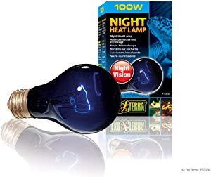 The 5 Best Lights for Leopard Geckos - We're All About Pets