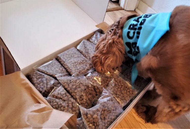 Unbiased Crafted Kibble Dog Food Review 2022 - We're All About Pets