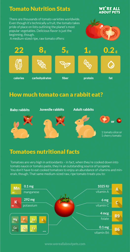 Can Rabbits Eat Tomatoes? - We're All About Pets
