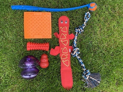 The 7 Best Toys for Herding Dogs Of 2020 - We're All About Pets