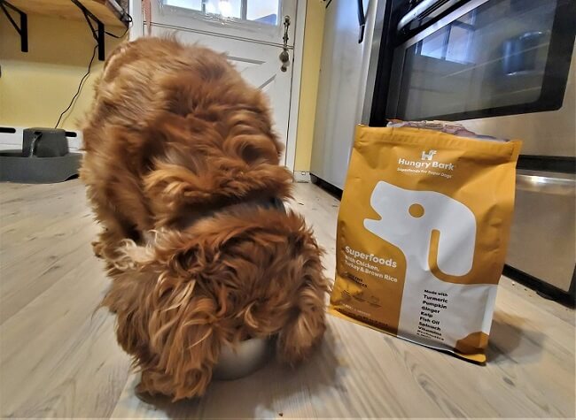 Hungry Bark Dog Food Review 2020 - We're All About Pets