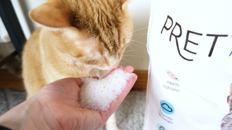 Pretty Litter Review: Purchased And Tested - We're All About Pets