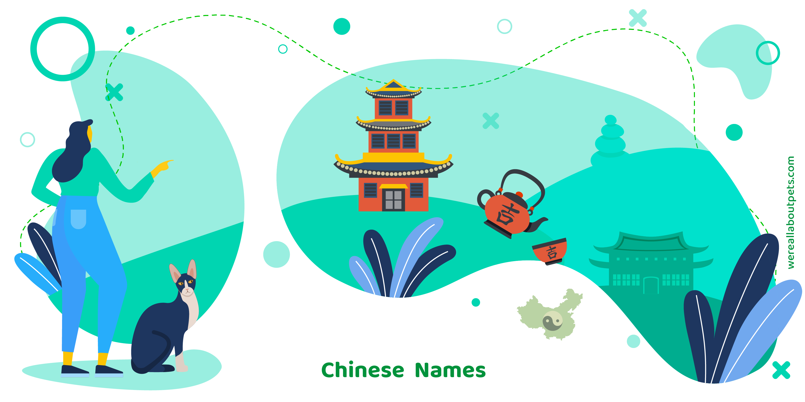 123 CHINESE CAT NAMES We re All About Pets 123-chinese-cat-names-we-re-all-about-pets