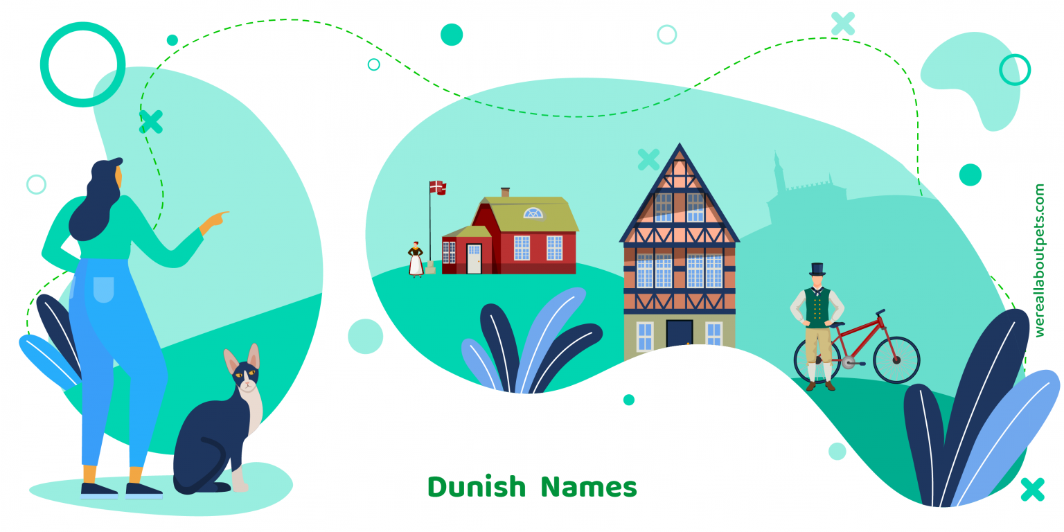 97 DANISH CAT NAMES - We're All About Pets