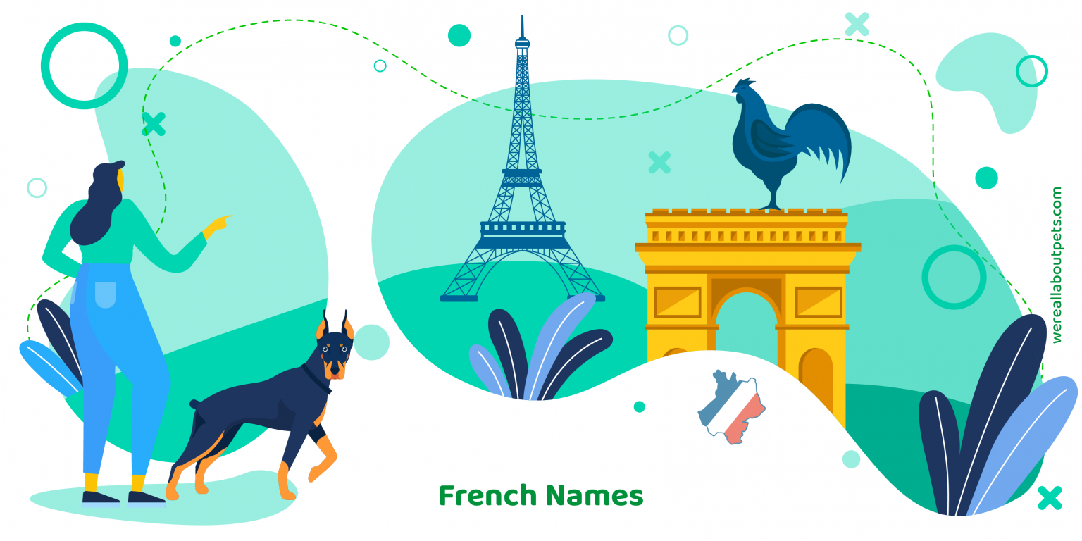 100 FRENCH DOG NAMES - We're All About Pets