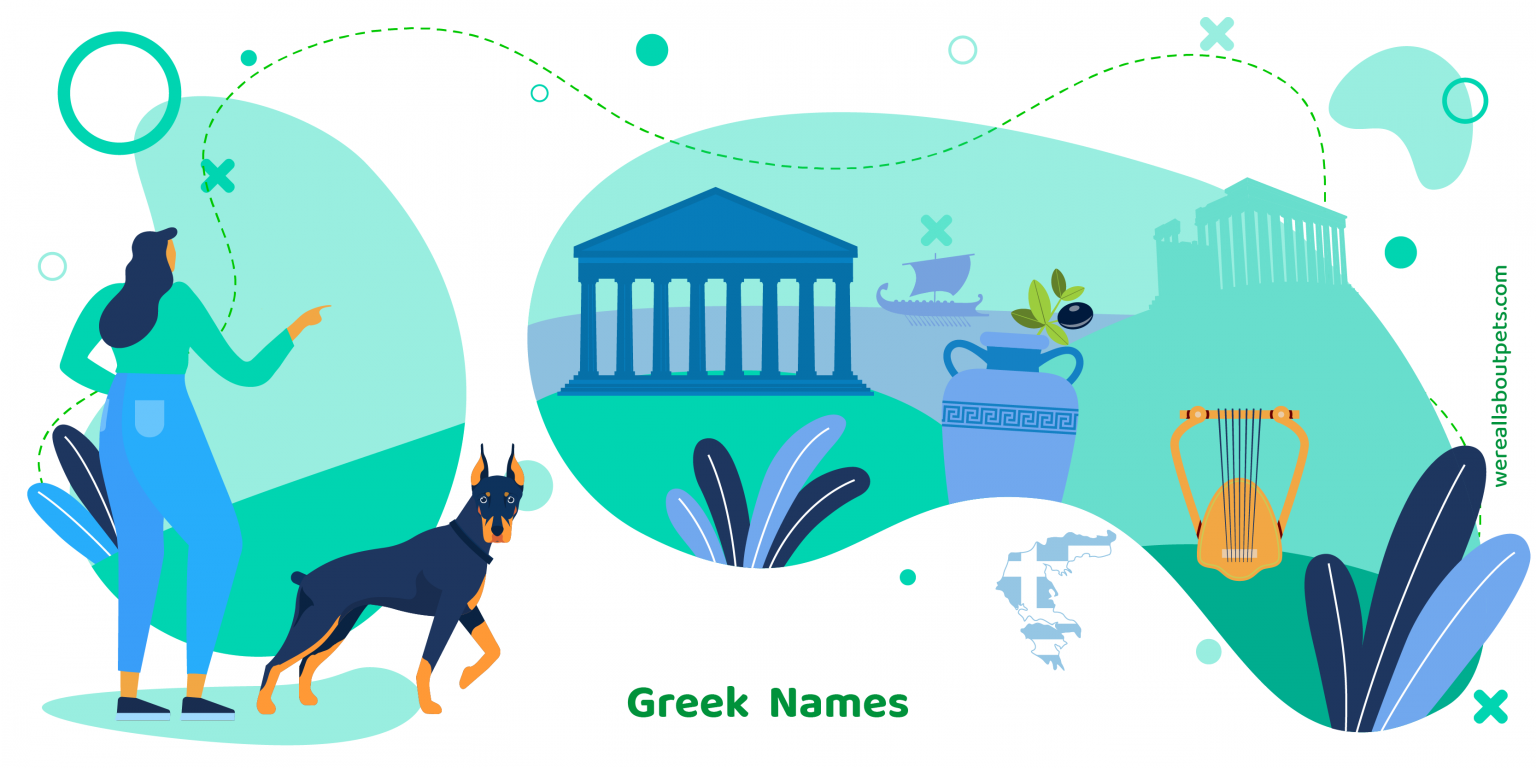 100 GREEK DOG NAMES - We're All About Pets