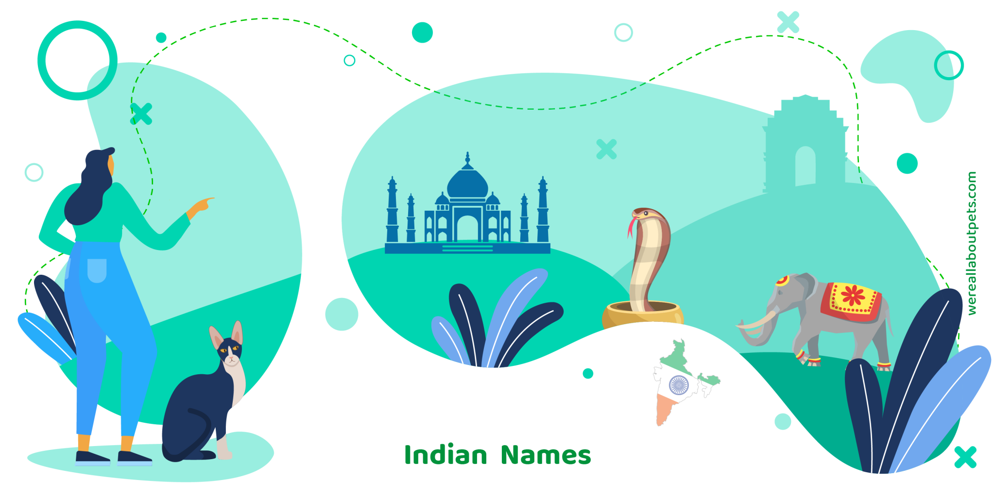 99 INDIAN CAT NAMES - We're All About Pets