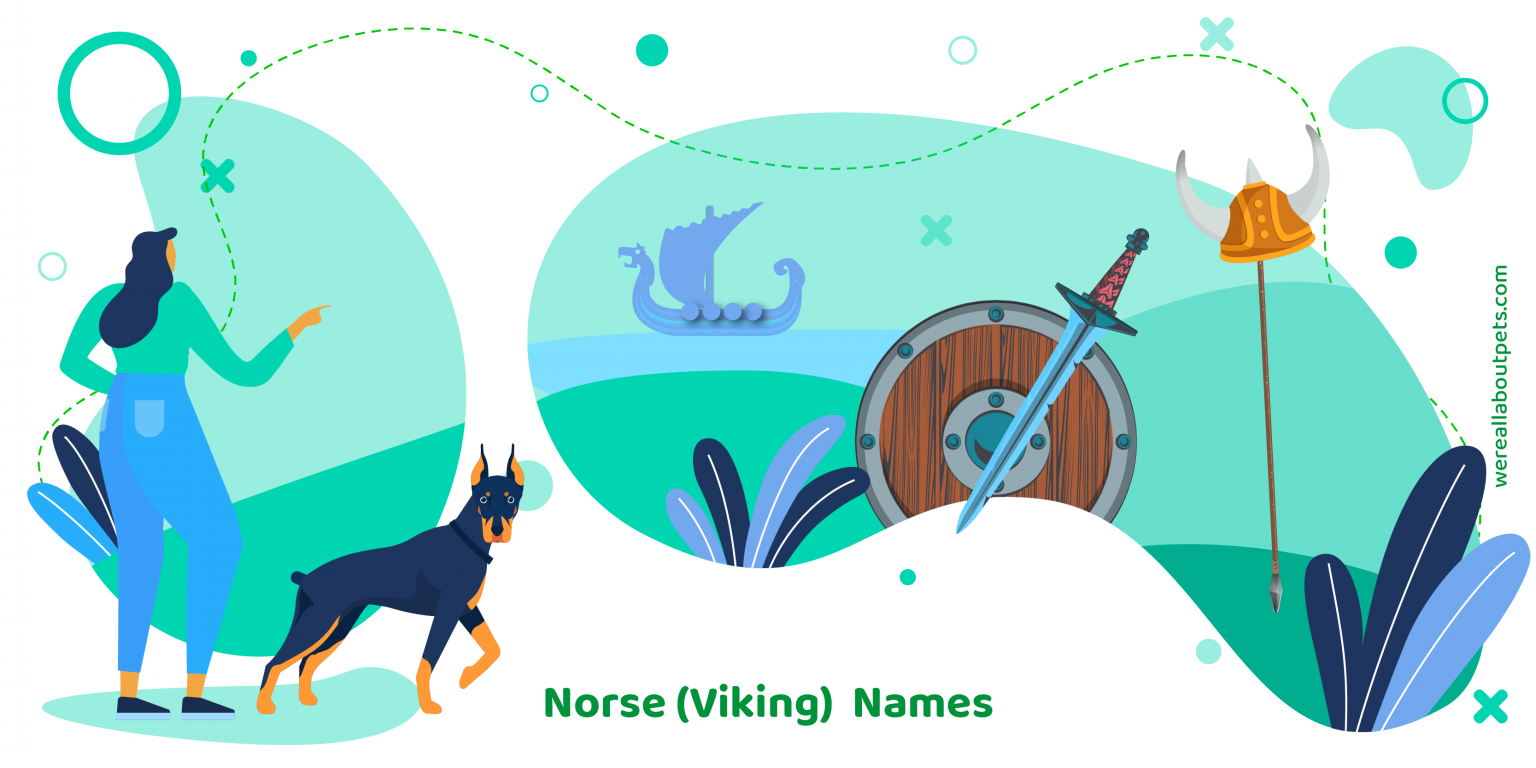 99 NORSE (VIKING) DOG NAMES - We're All About Pets
