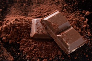 Can Rabbits Eat Chocolate? - We're All About Pets