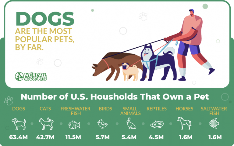 54 Powerful Pets Statistics You Need To Know In 2021 - We're All About Pets