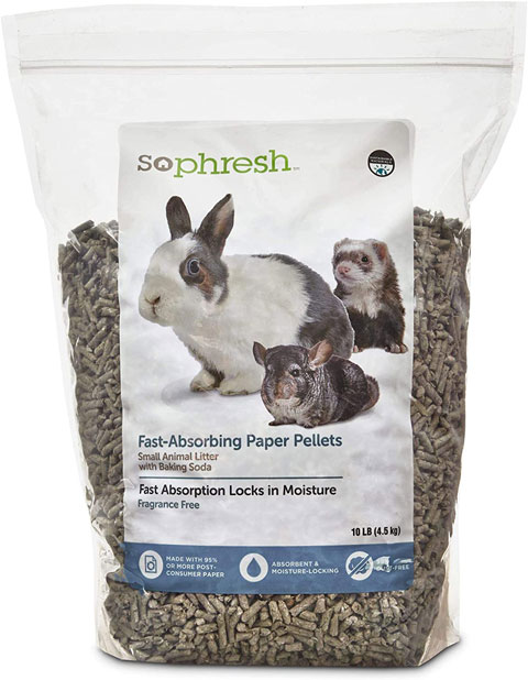 The 6 Best Litters for Rabbits In 2020 - We're All About Pets