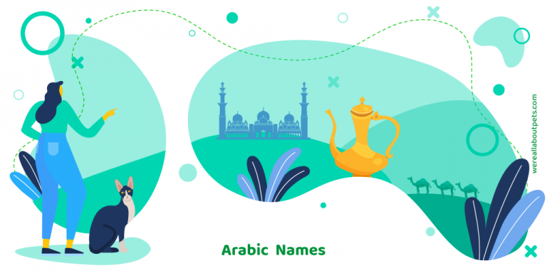 100 100 BEAUTIFUL ARABIC (MUSLIM) CAT NAMES - We're All About Pets