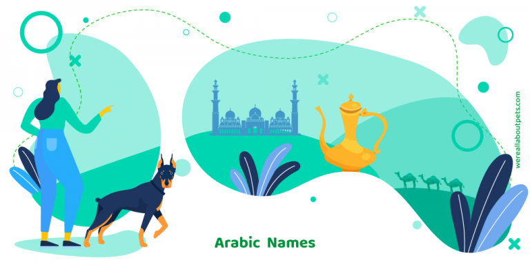 100 ARABIC DOG NAMES - We're All About Pets