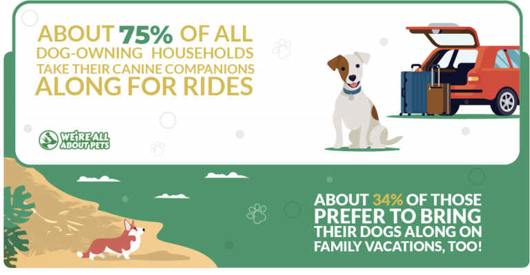 54 Powerful Pets Statistics You Need To Know In 2021 - We're All About Pets