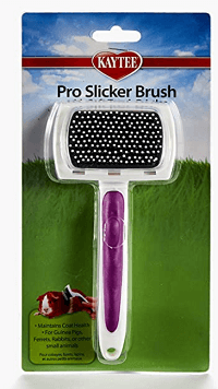 The 6 Best Grooming Brushes For Rabbits 2020 - We're All About Pets