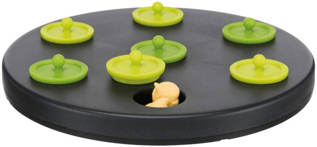 The 6 Best Toys For Rabbits In 2021 - We're All About Pets