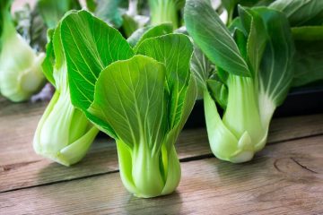 The 5 Best Leafy Greens For Rabbits - We're All About Pets
