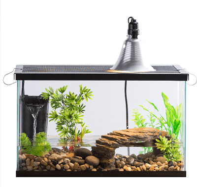 The 5 Best Turtle Tanks Of 2021 - We're All About Pets