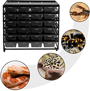 The 5 Best Snake Racks In 2021 - We're All About Pets