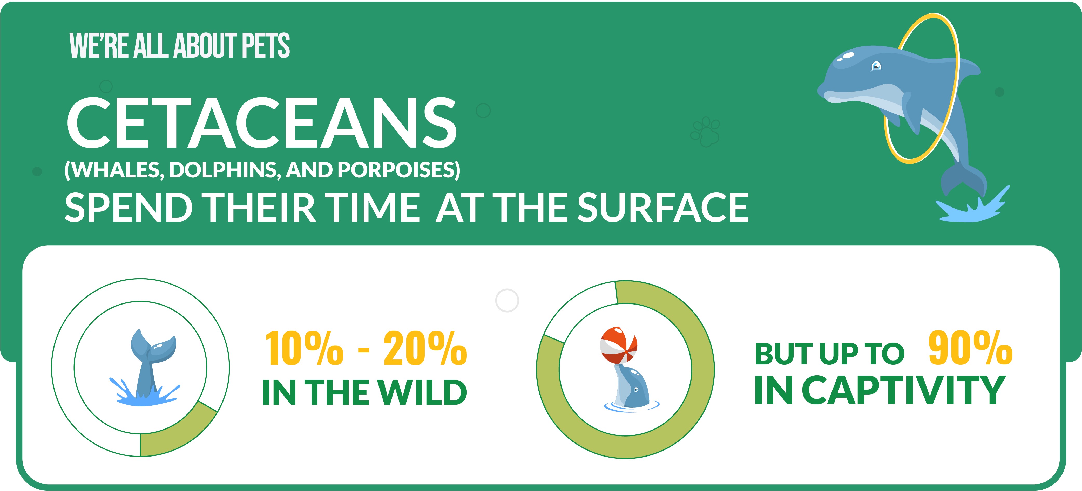 55 Alarming Animals In Captivity Statistics - We're All About Pets