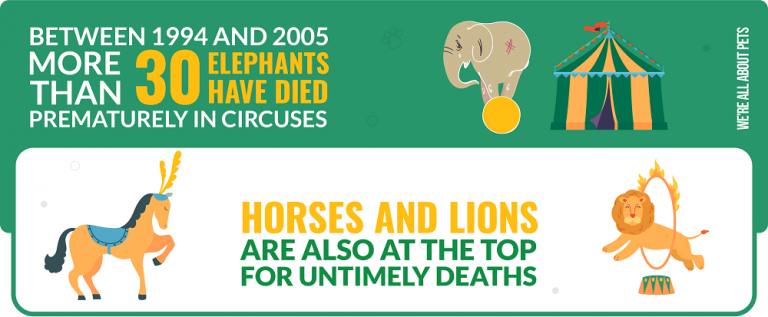 55 Alarming Animals In Captivity Statistics - We're All About Pets