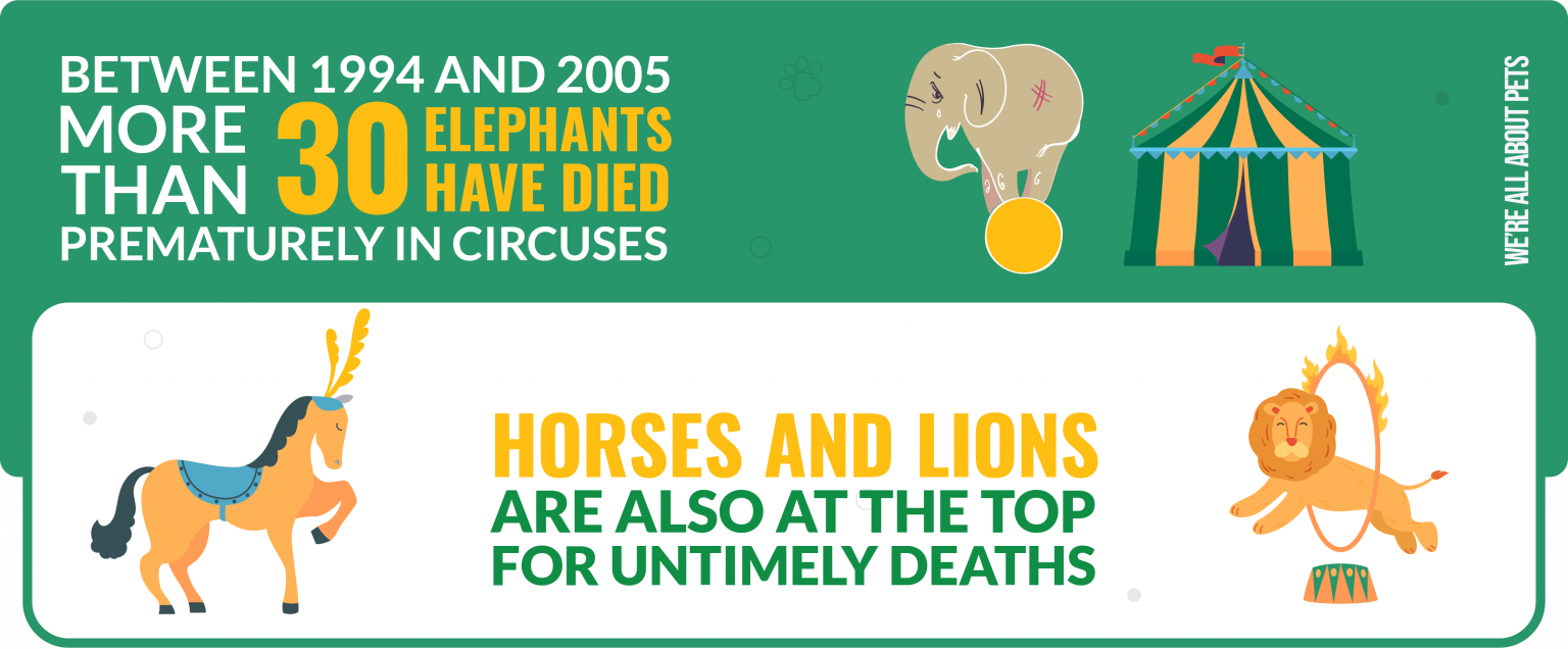 55 Alarming Animals In Captivity Statistics - We're All About Pets