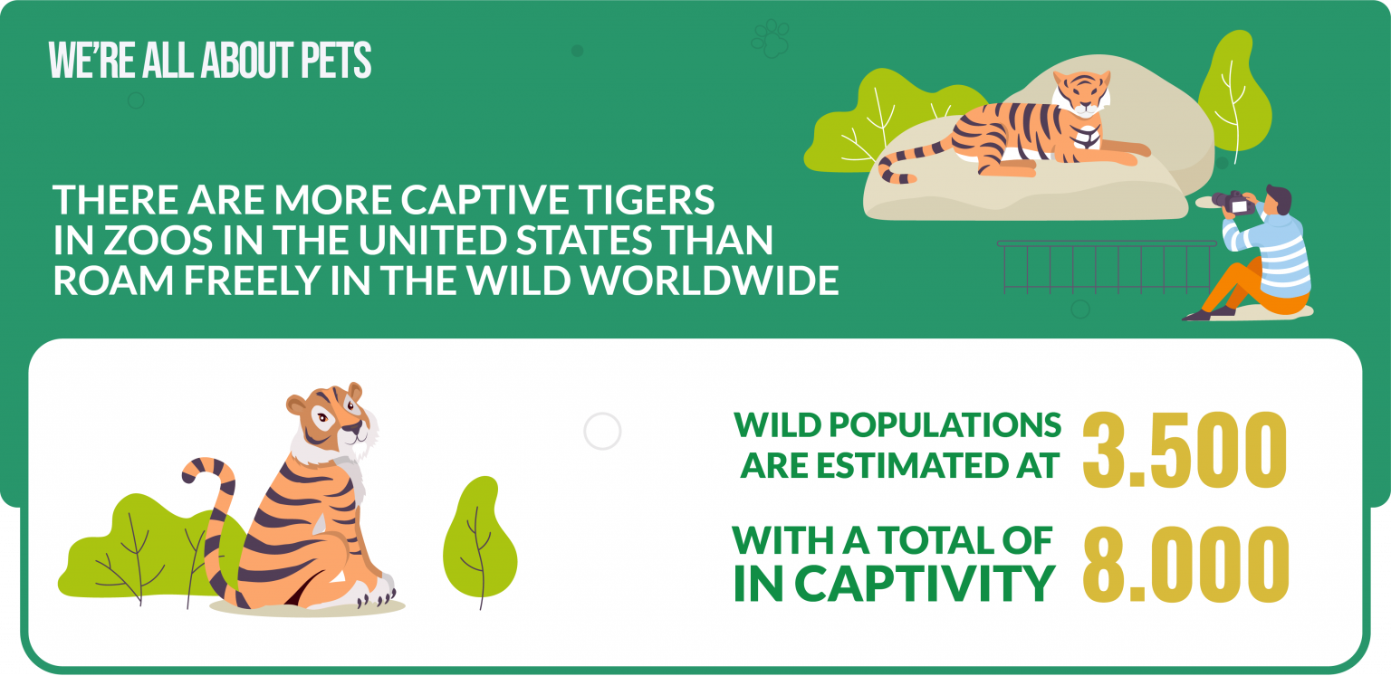 55 Alarming Animals In Captivity Statistics - We're All About Pets