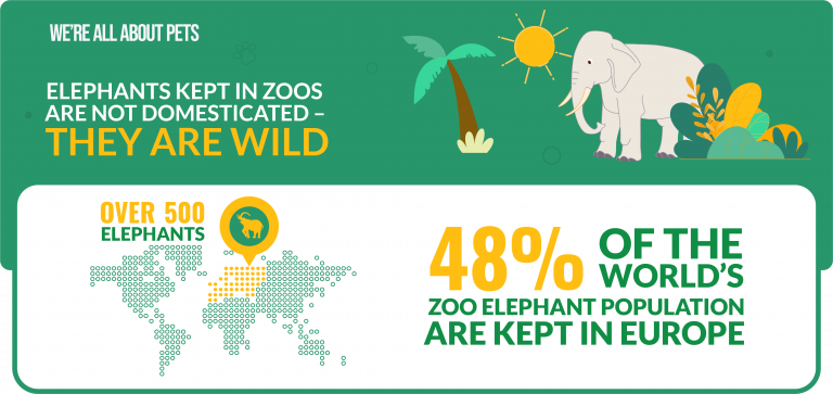 55 Alarming Animals In Captivity Statistics - We're All About Pets