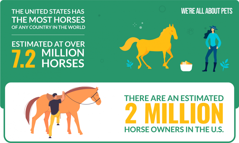 55 Powerful Horse Statistics - We're All About Pets